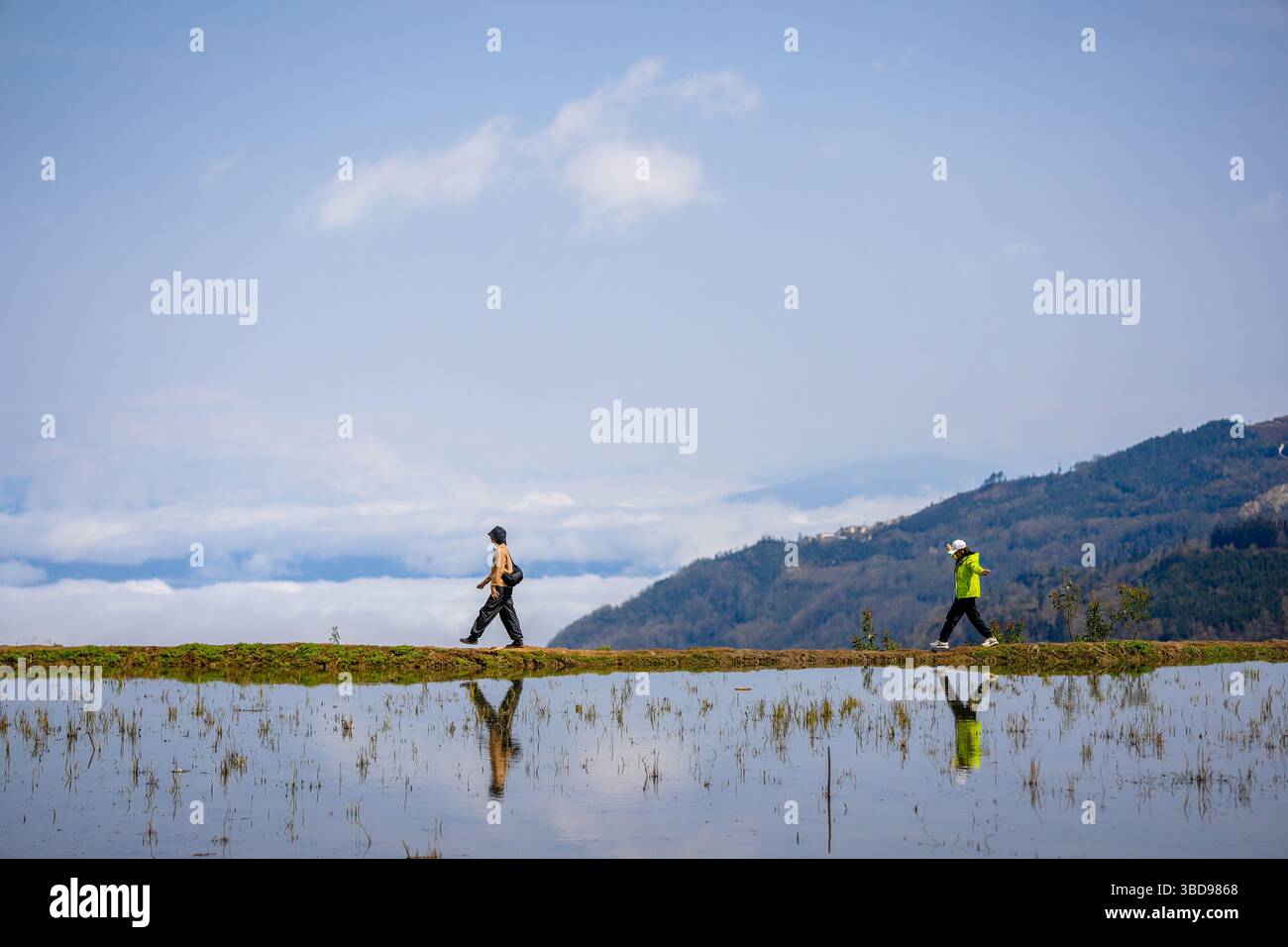 Beijing, China's Yunnan Province. 26th Feb, 2025. Tourists visit the ...
