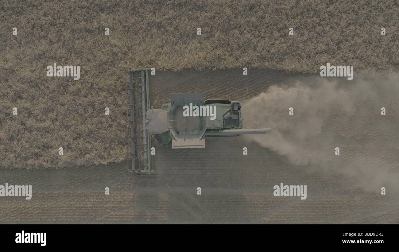 John Deere harvester works in the field. Harvesting Wheat in slow ...