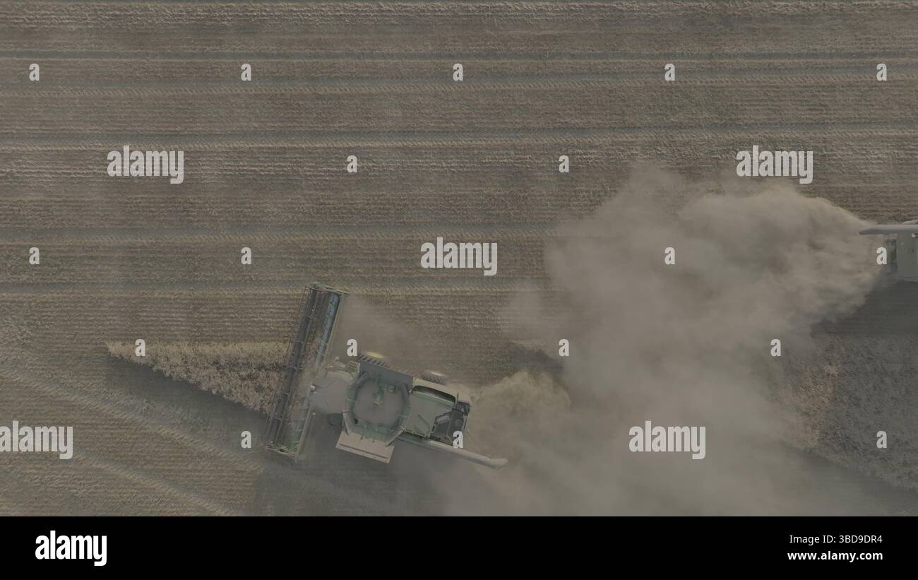 John Deere harvesters works in the field. Harvesting Wheat in slow ...