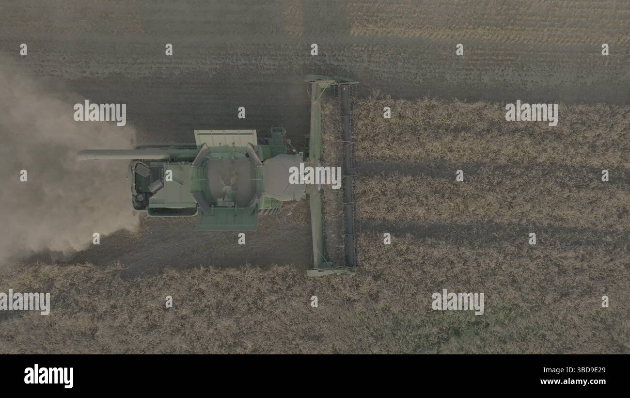 John Deere harvester works in the field. Harvesting Wheat in slow ...
