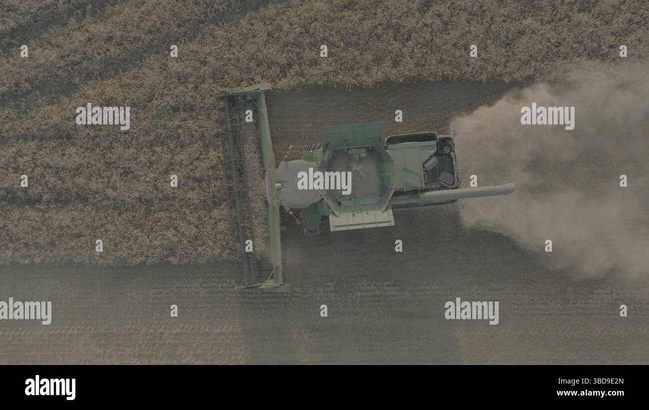 John Deere harvester works in the field. Harvesting Wheat in slow ...