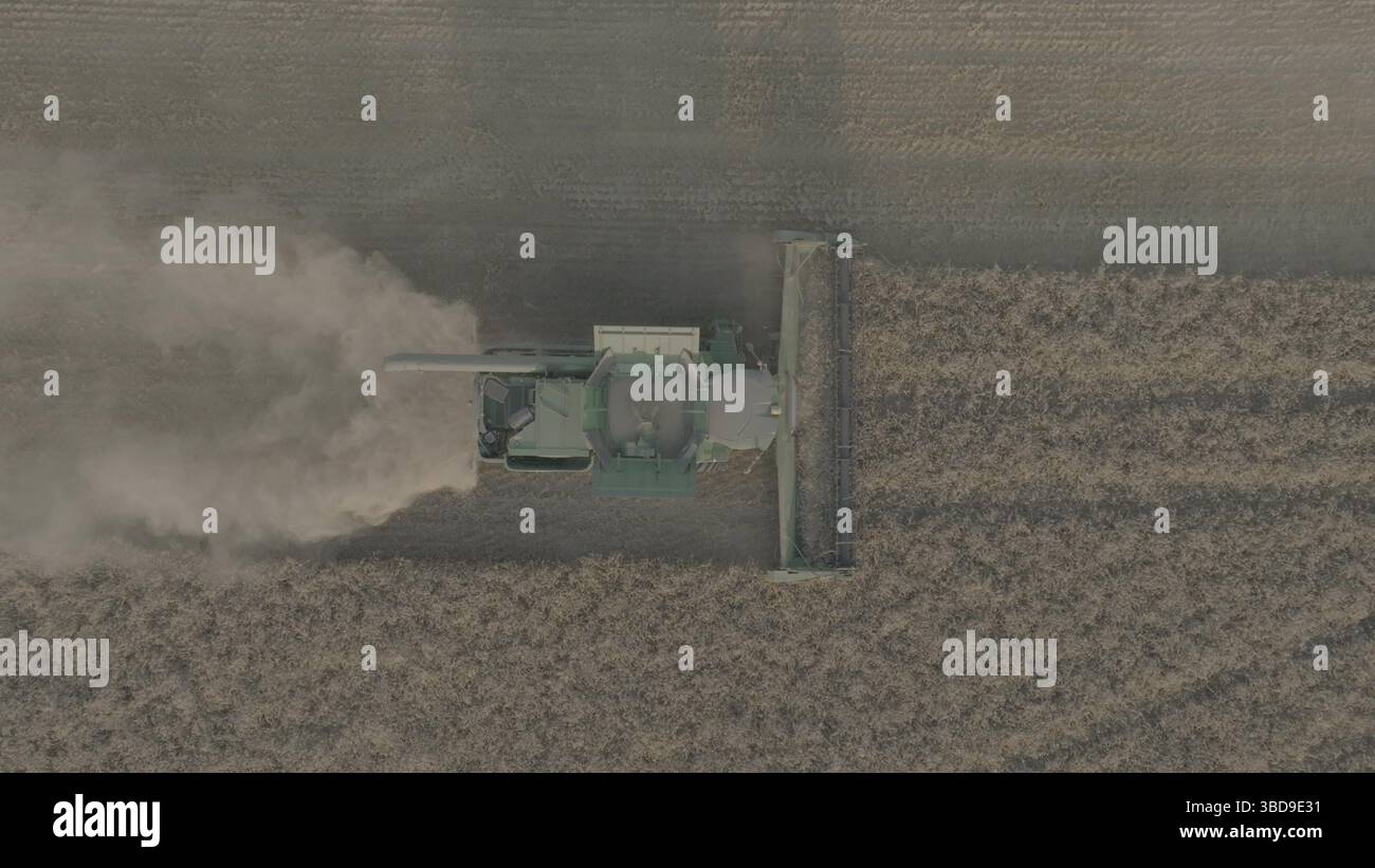 John Deere harvester with straw chopper works in the wheat field ...