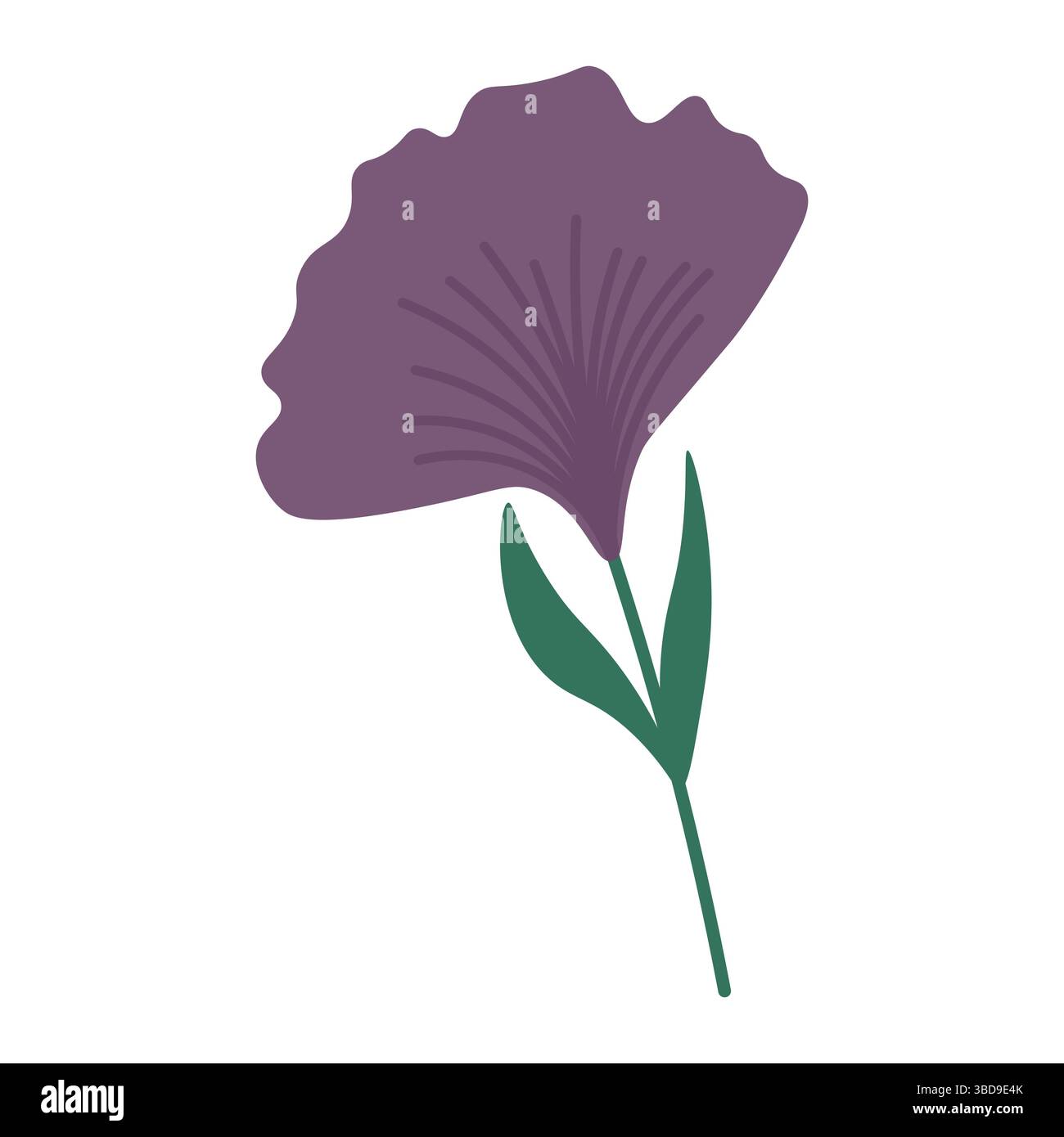 Purple tulip leaves illustration Cut Out Stock Images & Pictures - Alamy