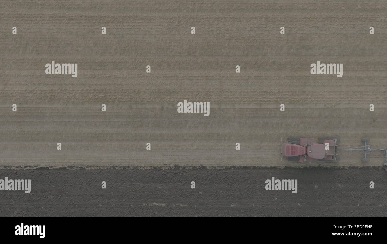 Big red tractor on on rubber tracks, Pulling productive reverse plow on ...