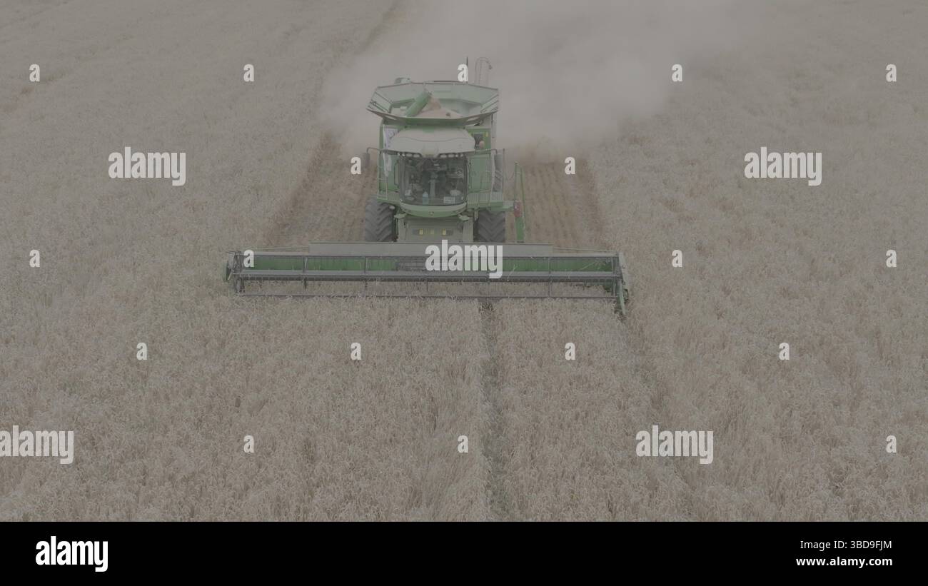 John Deere harvester with straw chopper works in the wheat field ...
