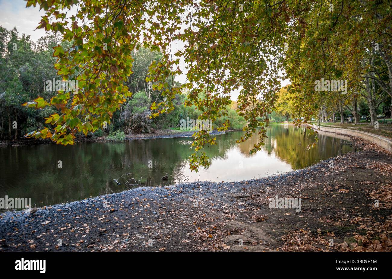 Beautiful Landscape With Scenic Reflective Pond View in Hyde Park ...