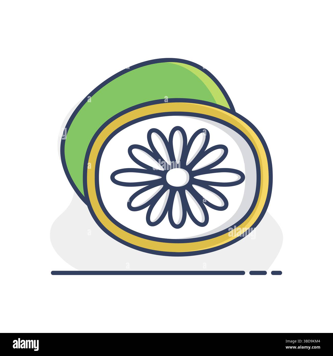 Kiwi vector icon. Graph symbol for food and drinks web site, apps ...