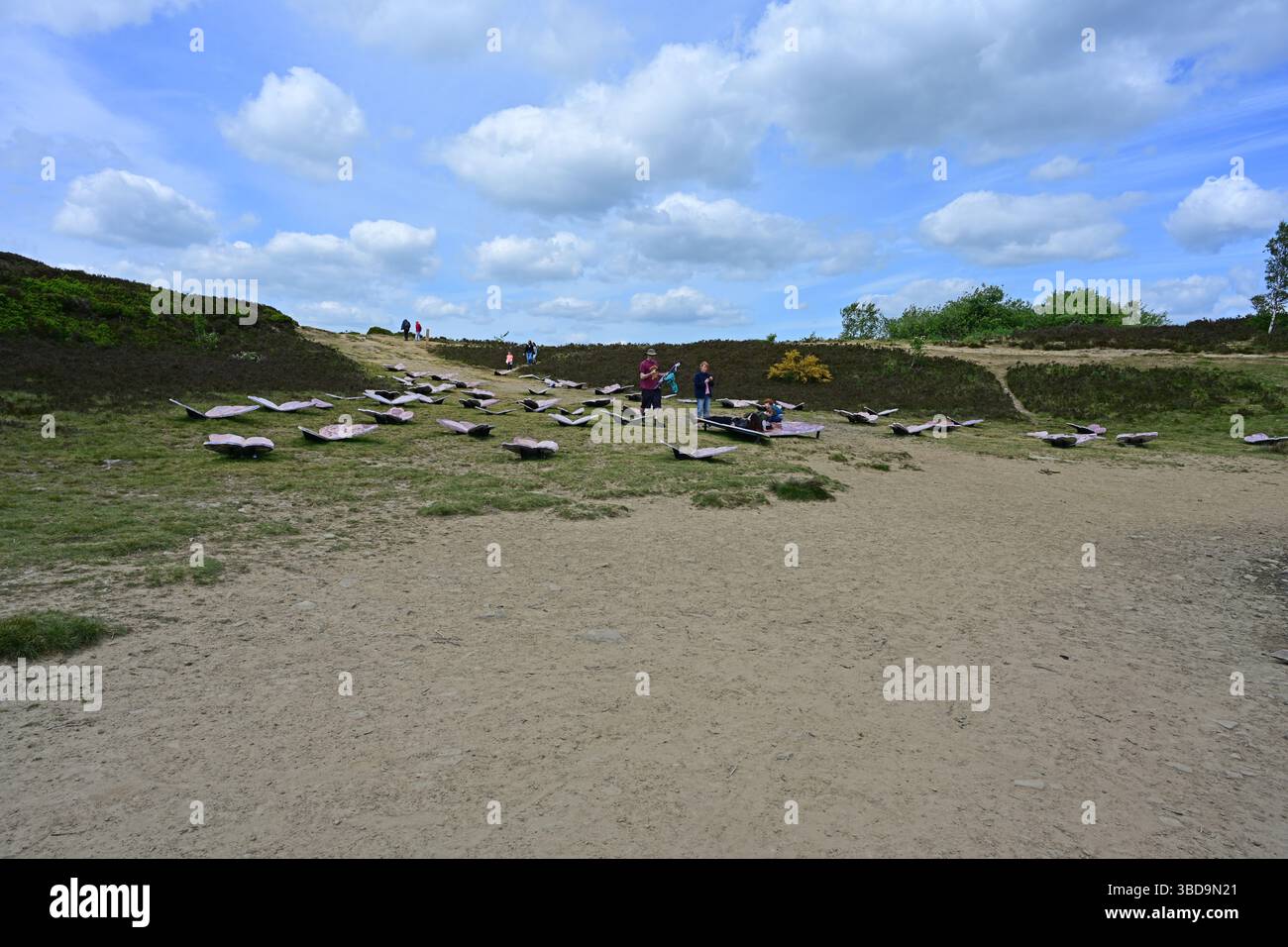Bradford City of Culture, Butterflies by Meherunnisa Asad, Wild uplands ...