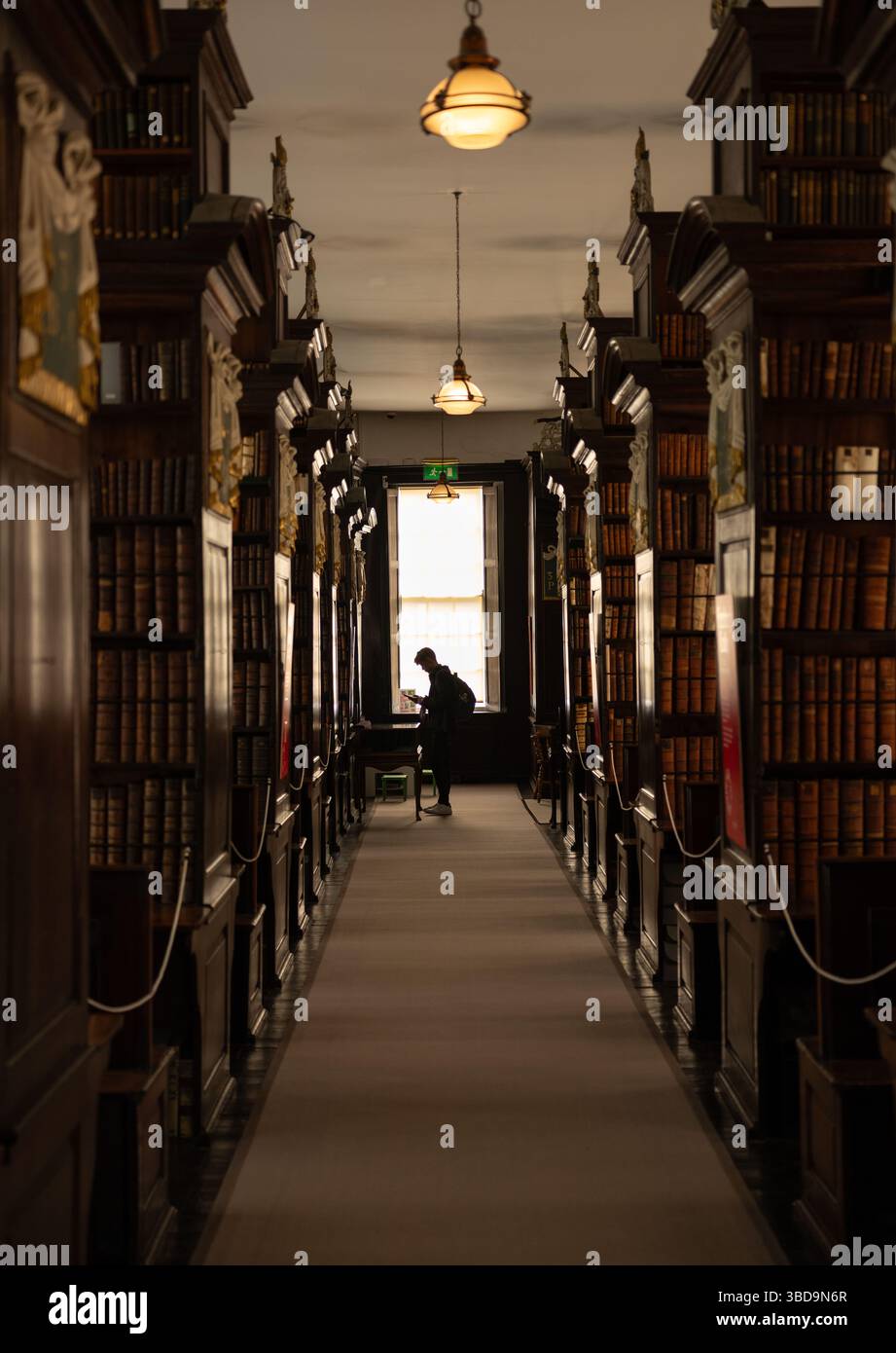 A view of Marsh's Library in Dublin city, Ireland Stock Photo - Alamy