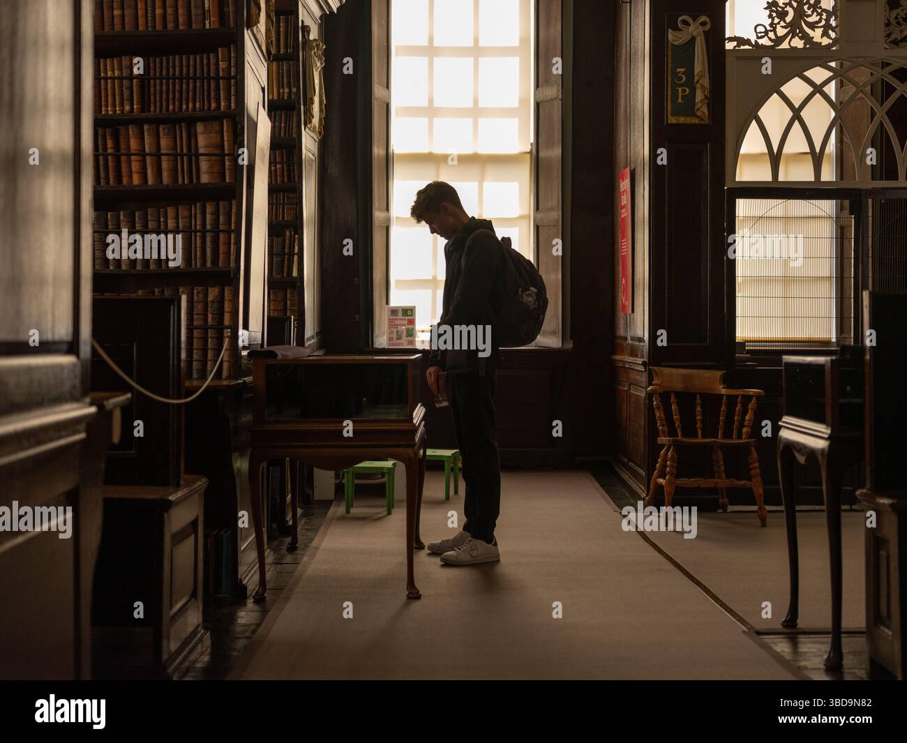 A view of Marsh's Library in Dublin city, Ireland Stock Photo - Alamy