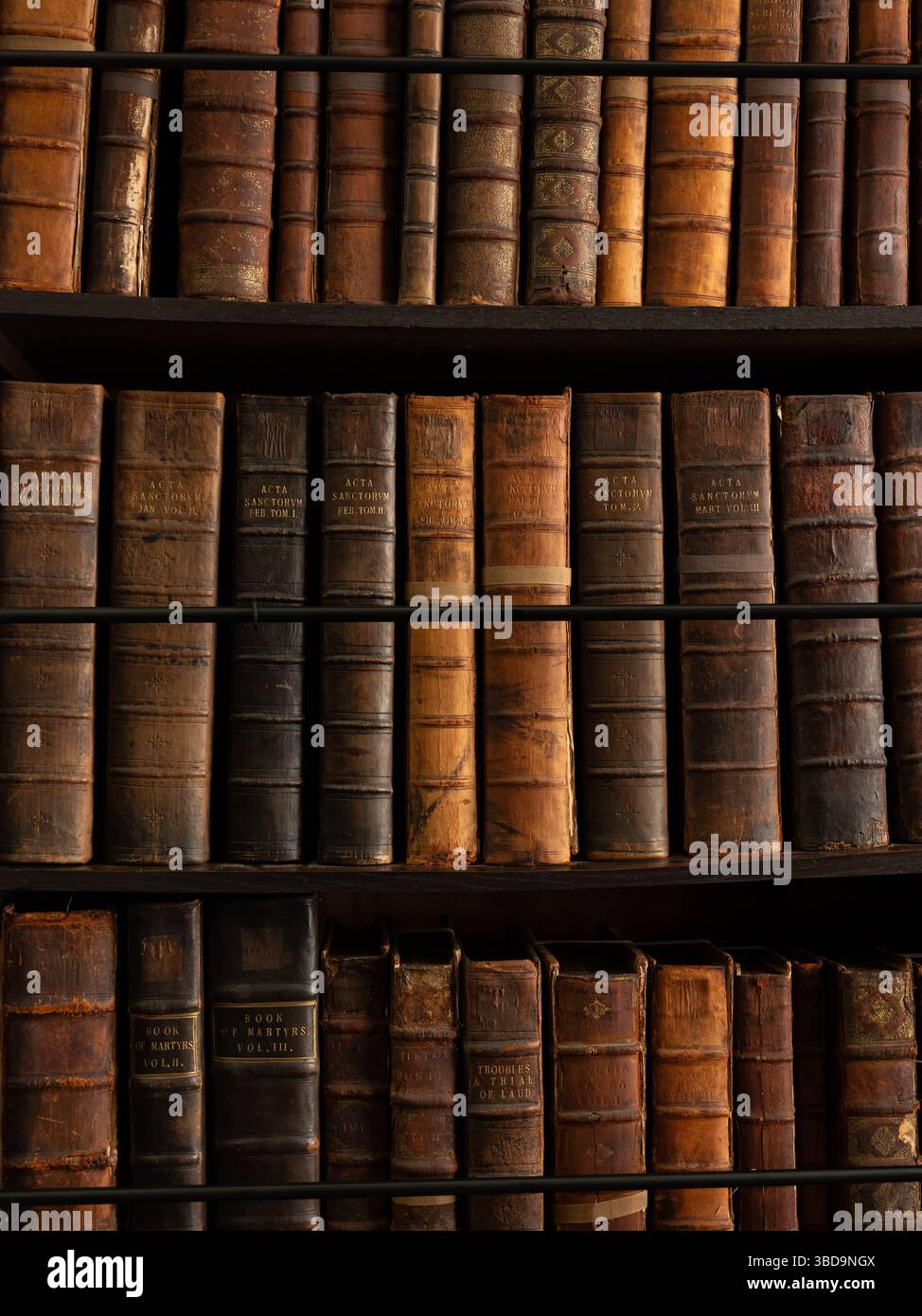 Collections of very old book and manuscripts on shelves in Marsh's ...