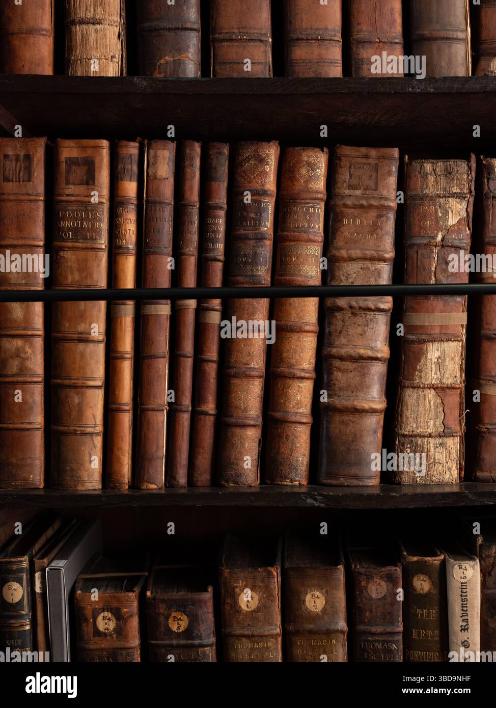 Collections of very old book and manuscripts on shelves in Marsh's ...