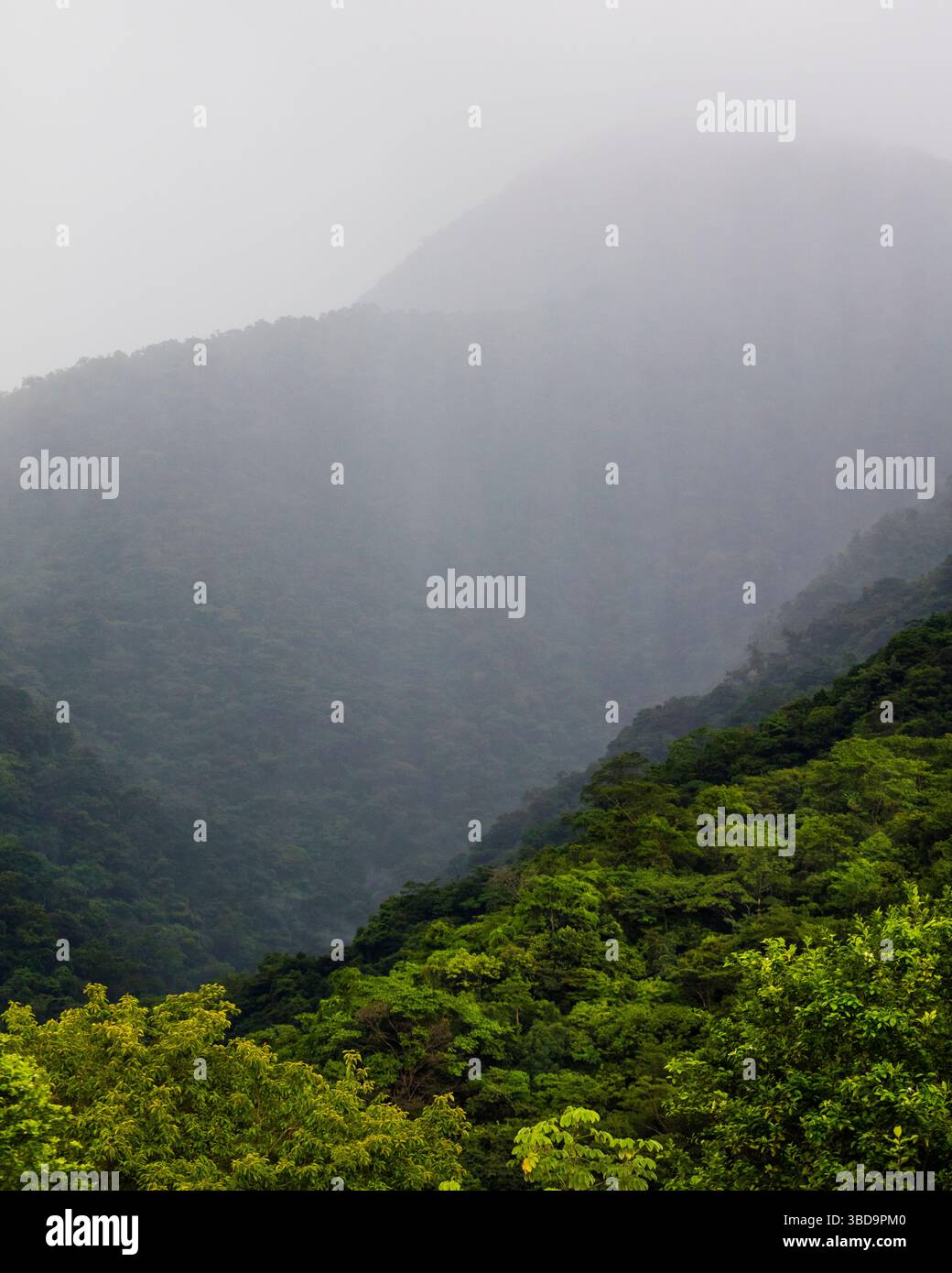 Approaching rainfall during the rainy season in Cerro Hoya national ...