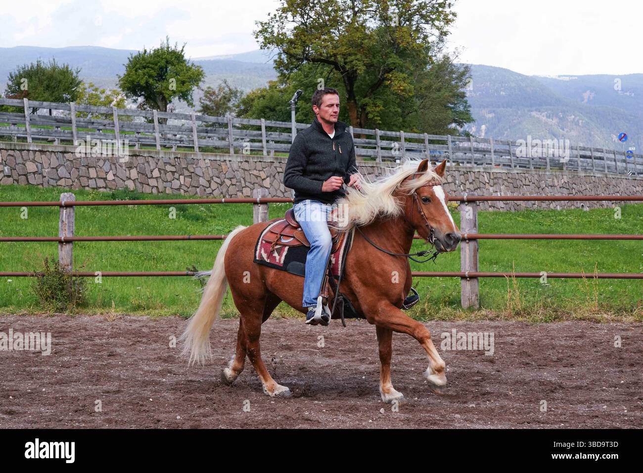 Alexander Rier 37 hat das Gen Pferd und das Gen Musik vom prominenten ...