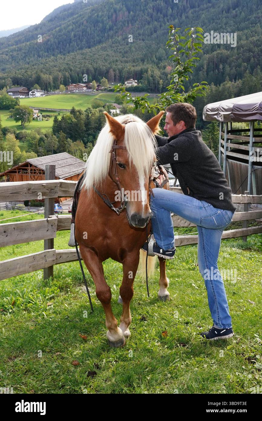 Alexander Rier 37 hat das Gen Pferd und das Gen Musik vom prominenten ...