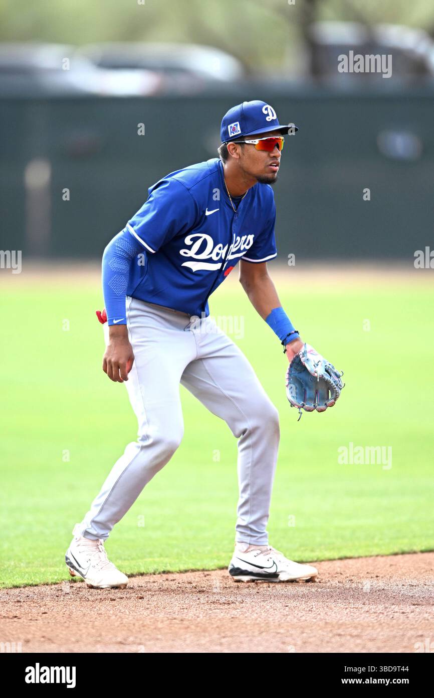 Los Angeles Dodgers shortstop Eduardo Guerrero (26) in a defensive ...