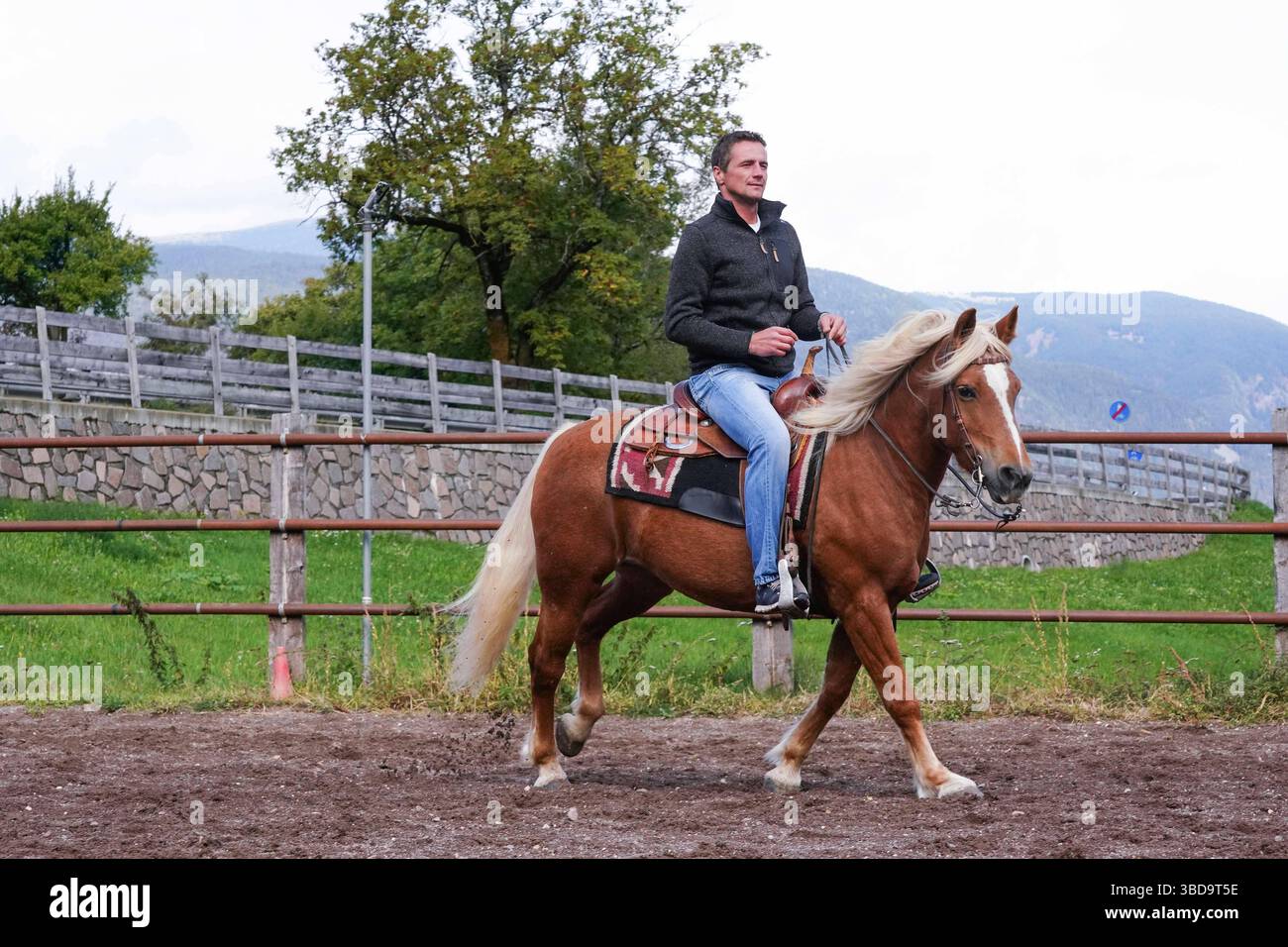 Alexander Rier 37 hat das Gen Pferd und das Gen Musik vom prominenten ...