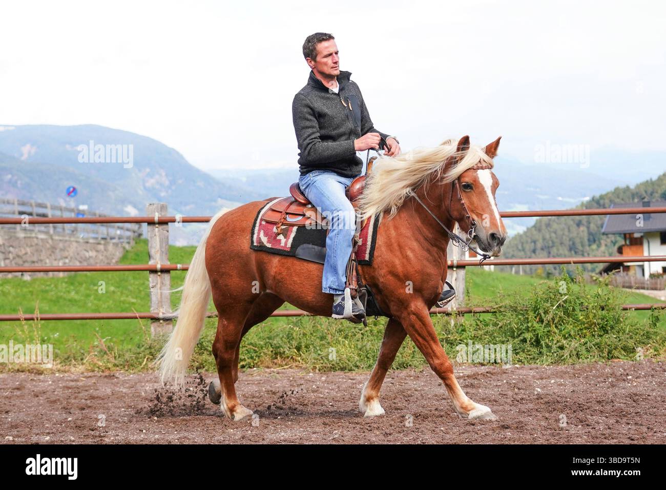 Alexander Rier 37 hat das Gen Pferd und das Gen Musik vom prominenten ...