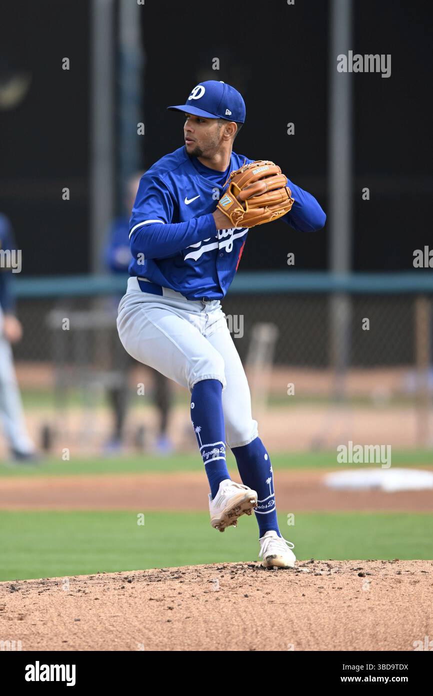 Los Angeles Dodgers pitcher Myles Caba (84) delivers a pitch during a ...
