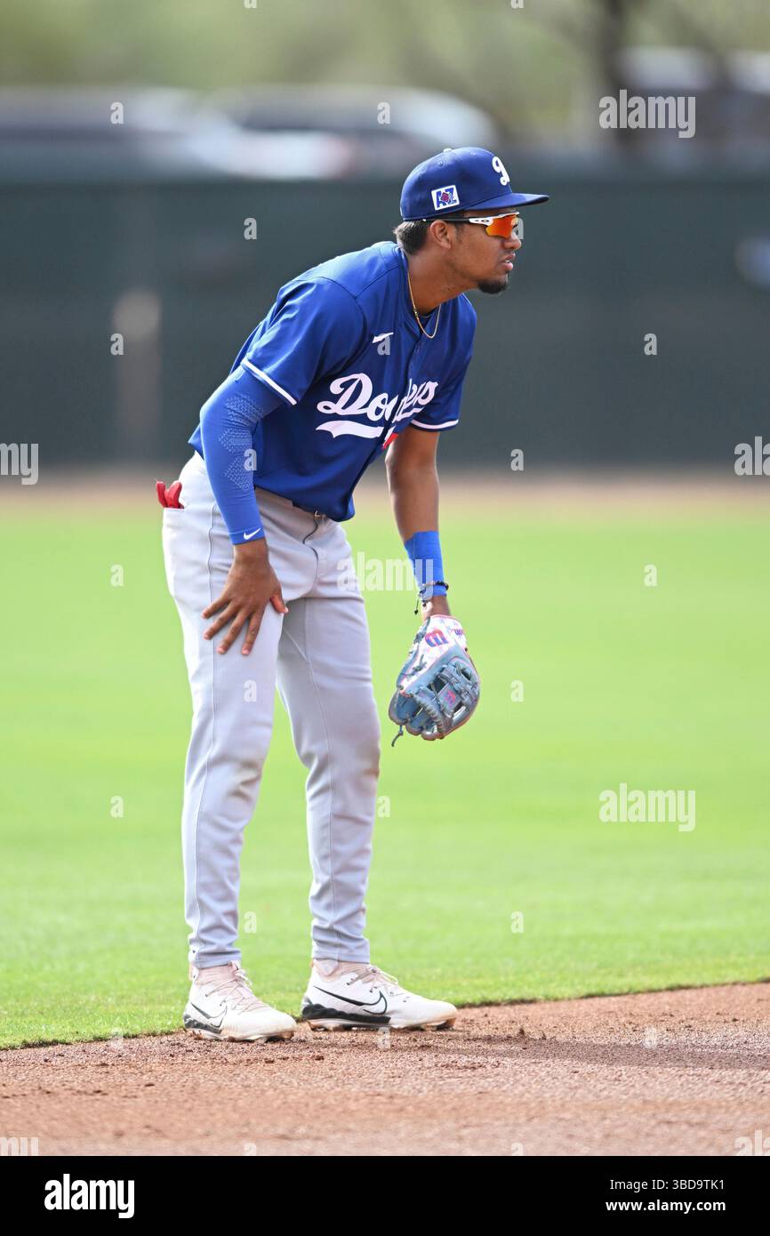 Los Angeles Dodgers shortstop Eduardo Guerrero (26) in a defensive ...