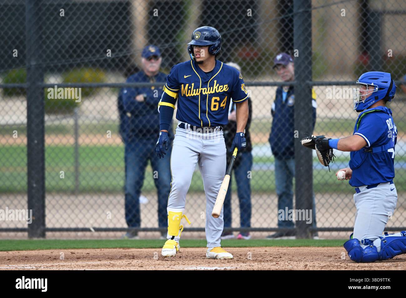 Luis Castillo (64) of the Milwaukee Brewers at bat during a Spring ...