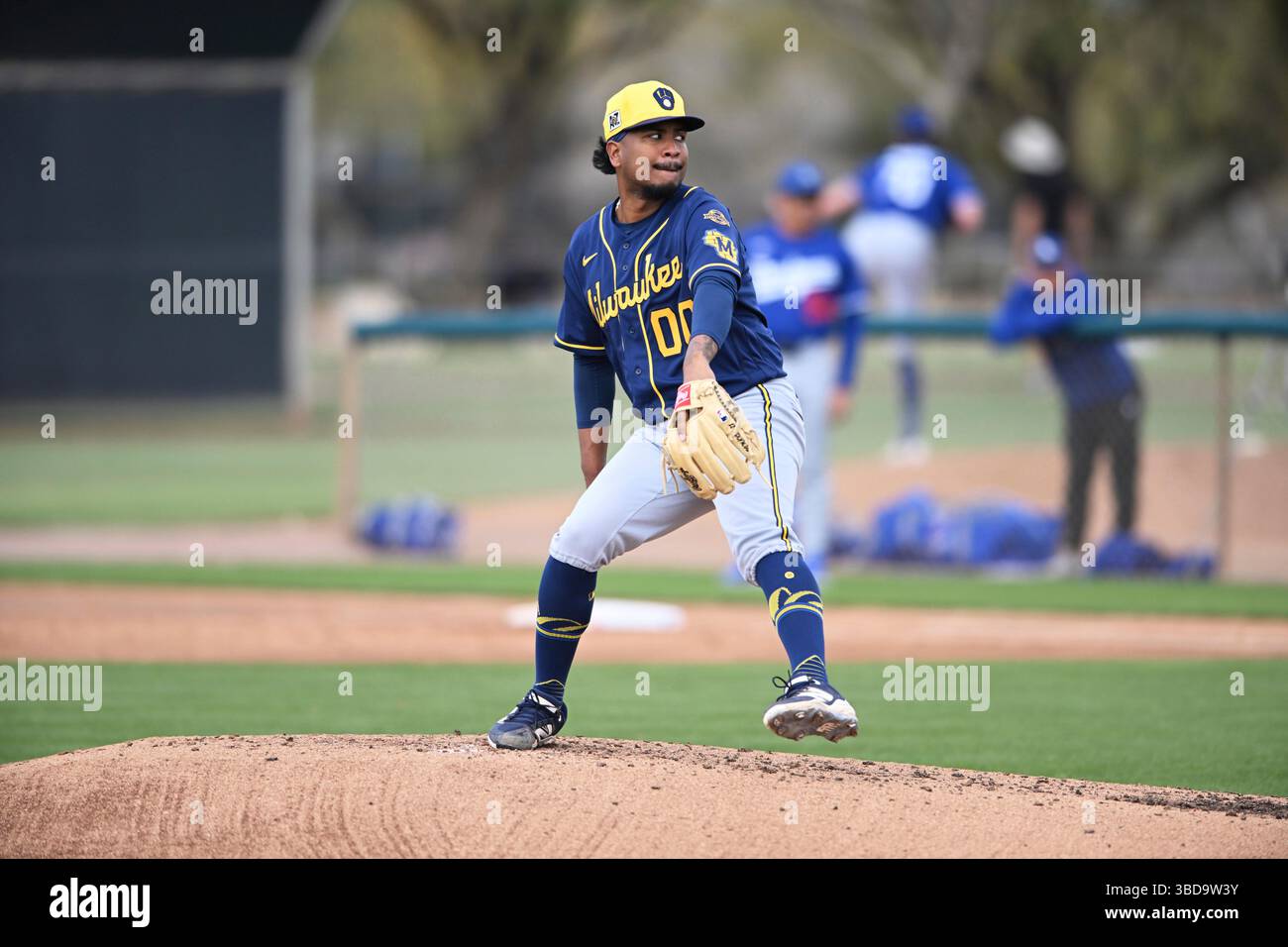 Milwaukee Brewers pitcher Carlos Rodriguez (00) delivers a pitch during ...