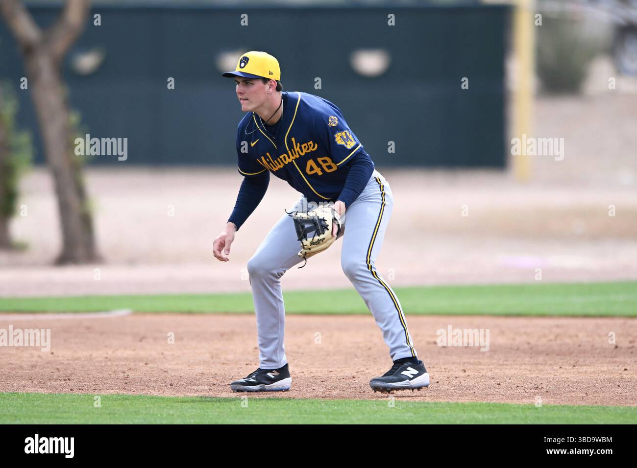Milwaukee Brewers third baseman Eric Bitonti (48) in a defensive stance ...