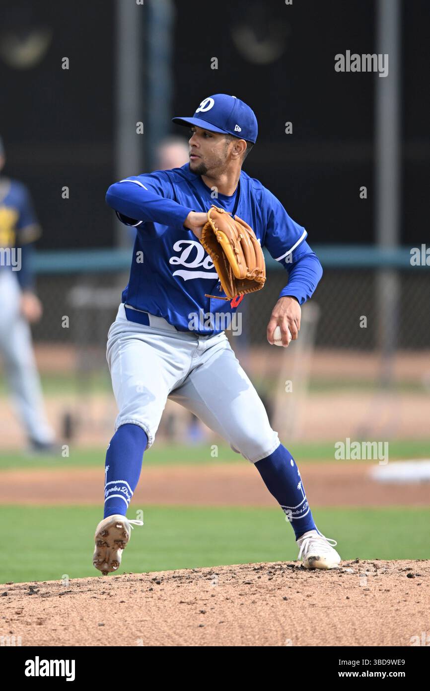 Los Angeles Dodgers pitcher Myles Caba (84) delivers a pitch during a ...