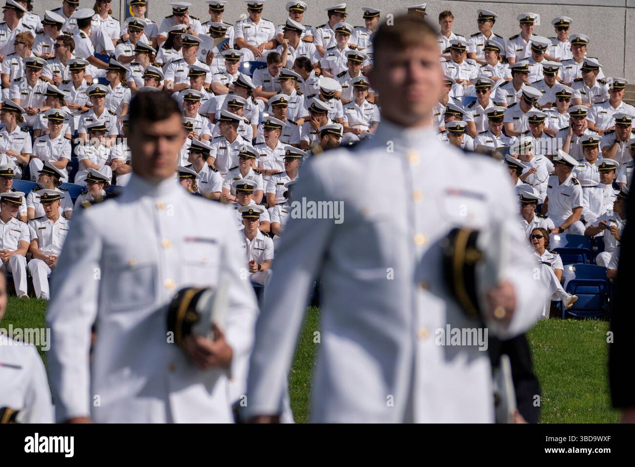 Annapolis, United States. 23rd May, 2025. Midshipmen arrive for the ...