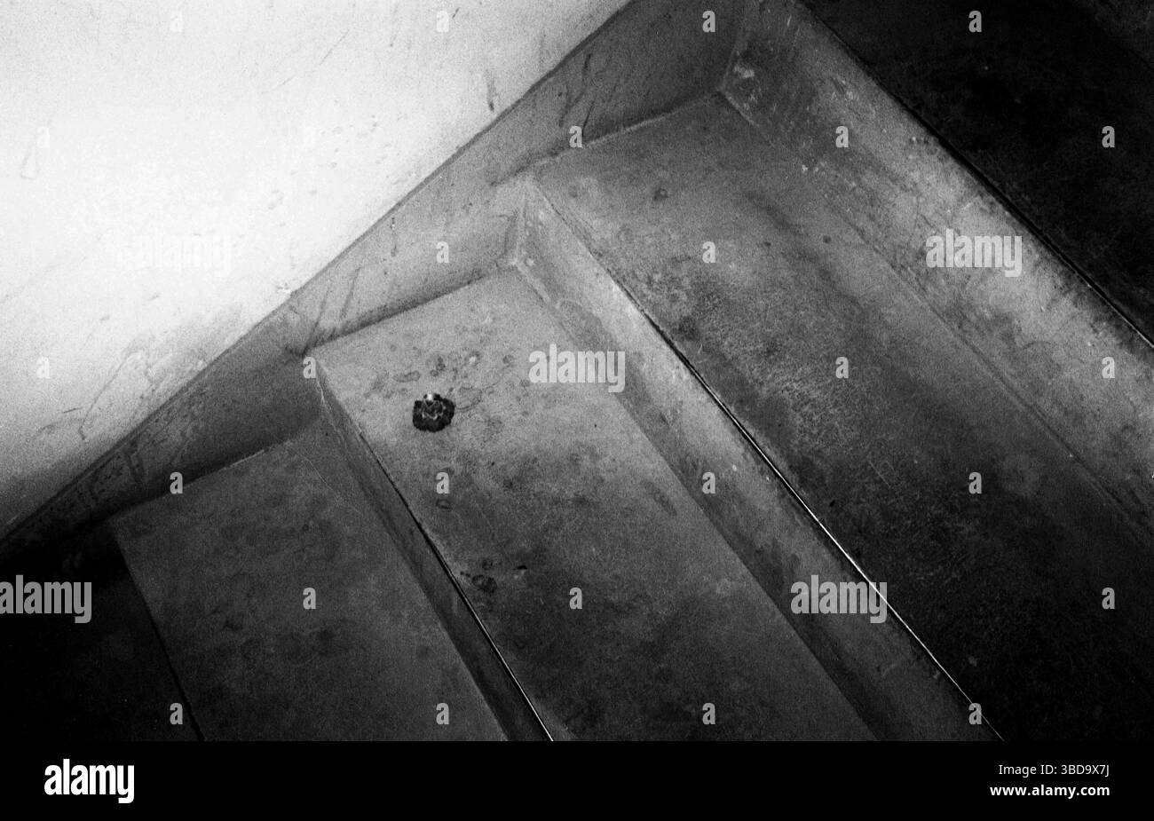 Surreal domestic scene hi-res stock photography and images - Alamy