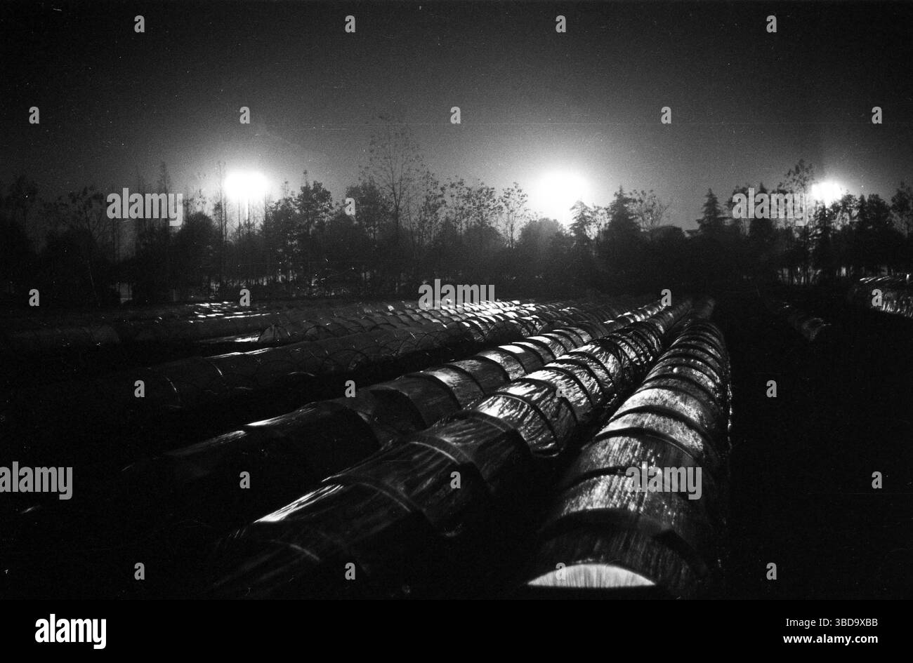 Plastic Tunnel Fields on the Outskirts of Hangzhou City in Early-2010s ...