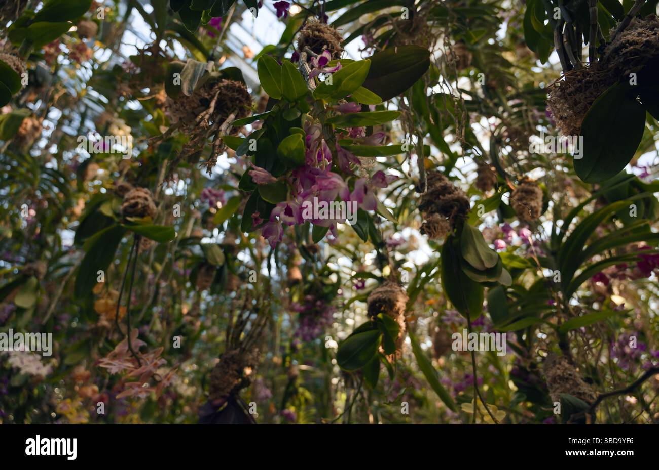 Floating light clusters hi-res stock photography and images - Alamy