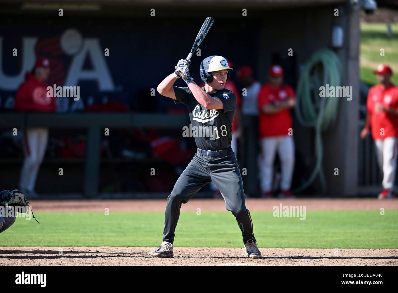 Andres Armenta (18) of the Casteel Colts (Queen Creek, Arizona) during ...