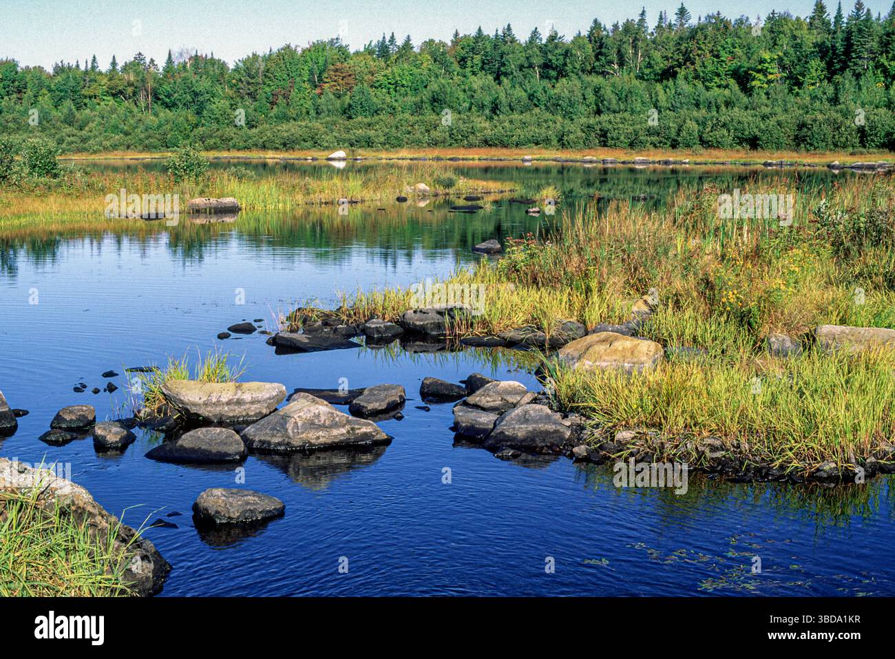 Second Roach Pond in Maine Stock Photo - Alamy