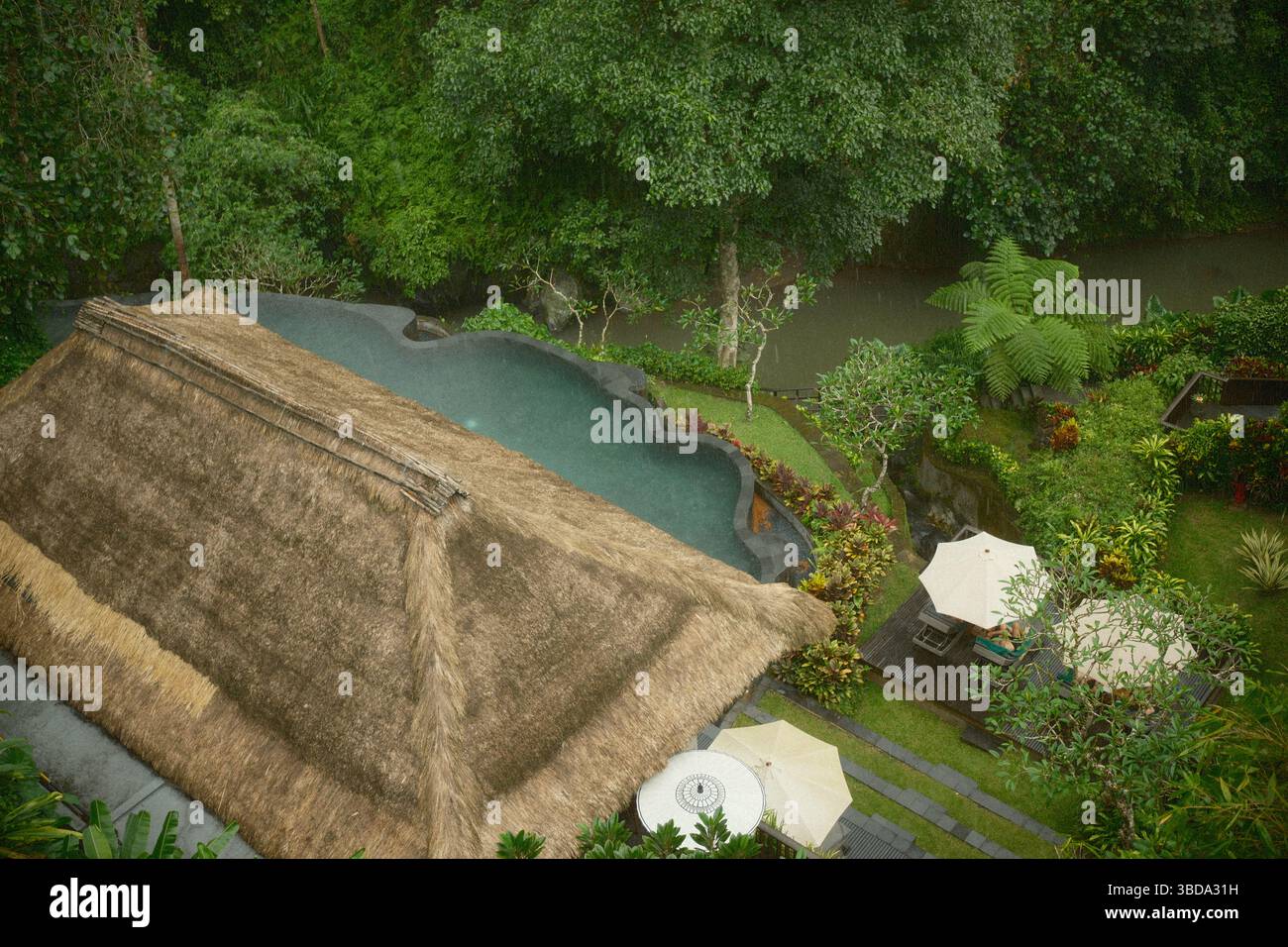 Infinity pool in forest hi-res stock photography and images - Alamy