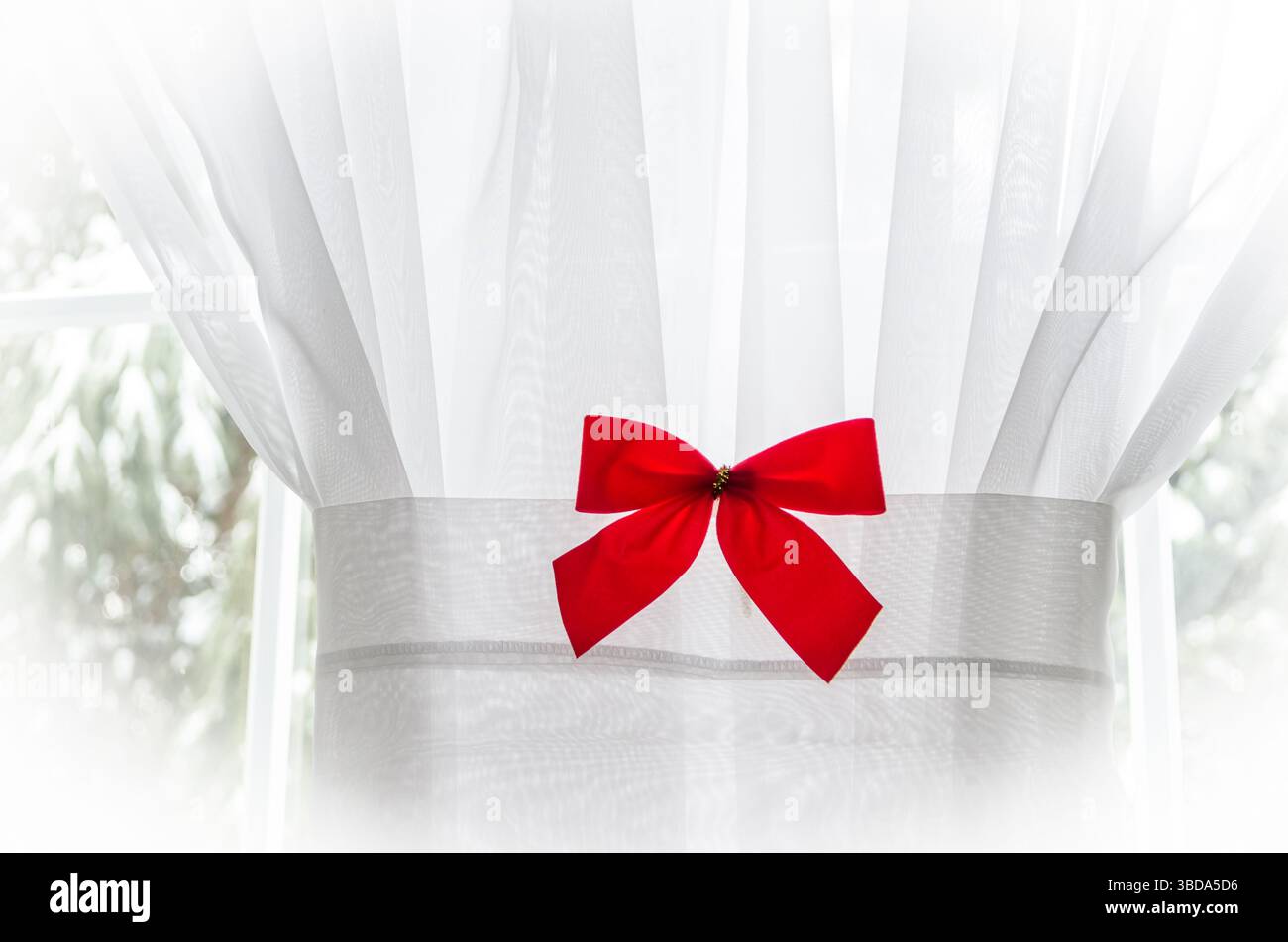 Vignette green tree branches hi-res stock photography and images - Alamy