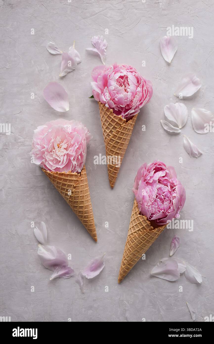 Top down view of pink peonies in three waffle ice cream cones Stock ...