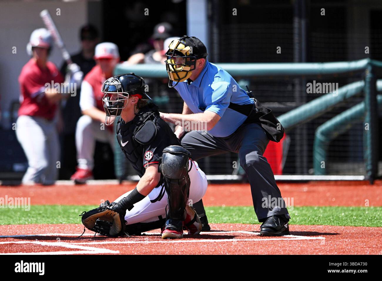 Home plate umpire Jason Millsap tucks behind Georgia Bulldogs catcher ...