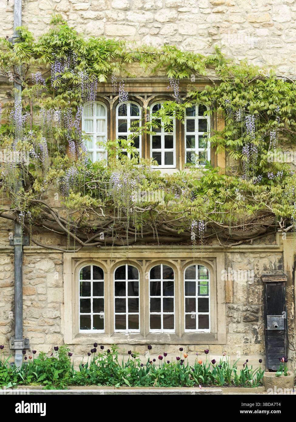 First Quad at St Edmund (Teddy) Hall College, University of Oxford ...