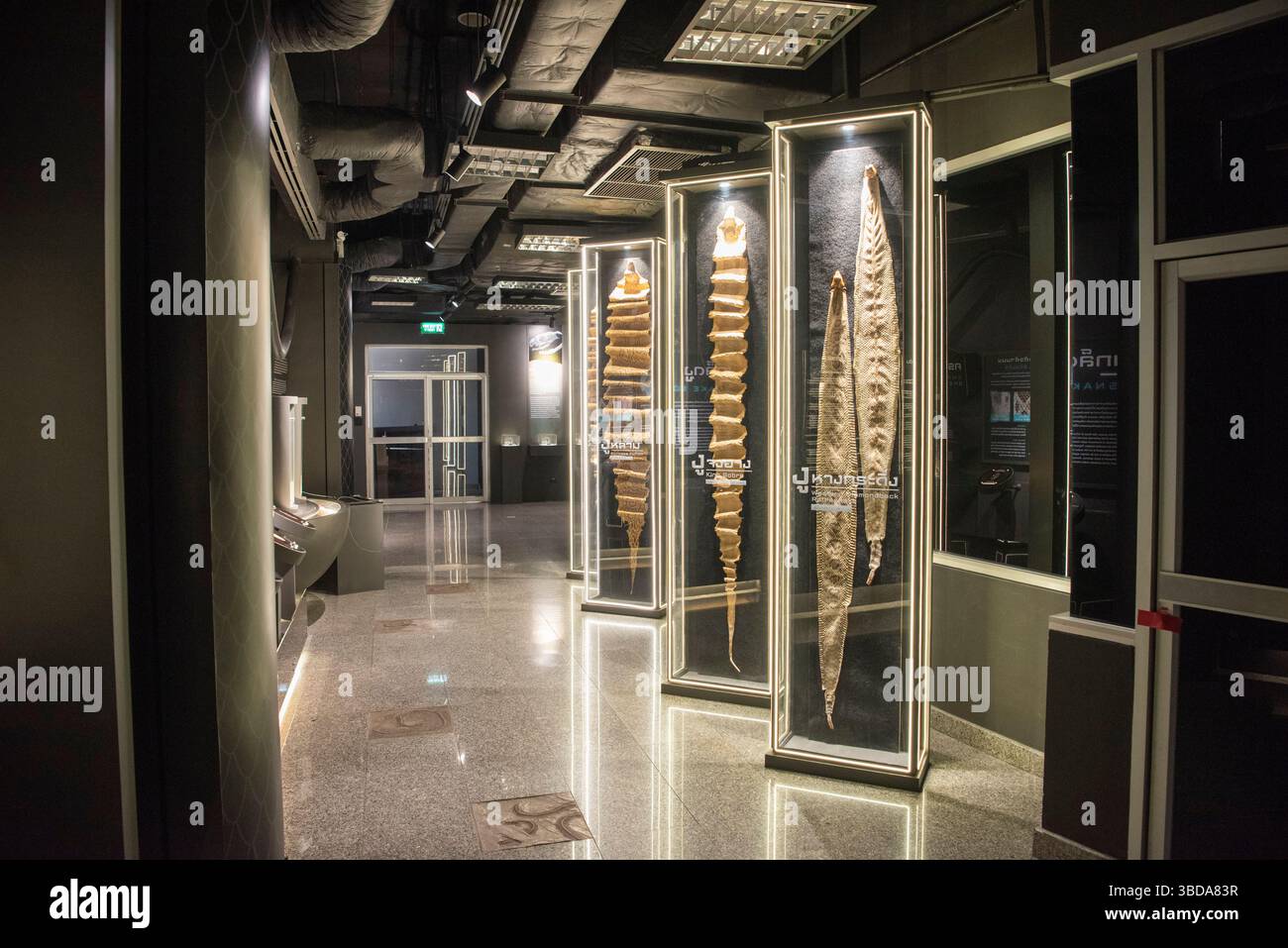 Inside the Snake Farm in Silom in the City of Bangkok in Thailand ...