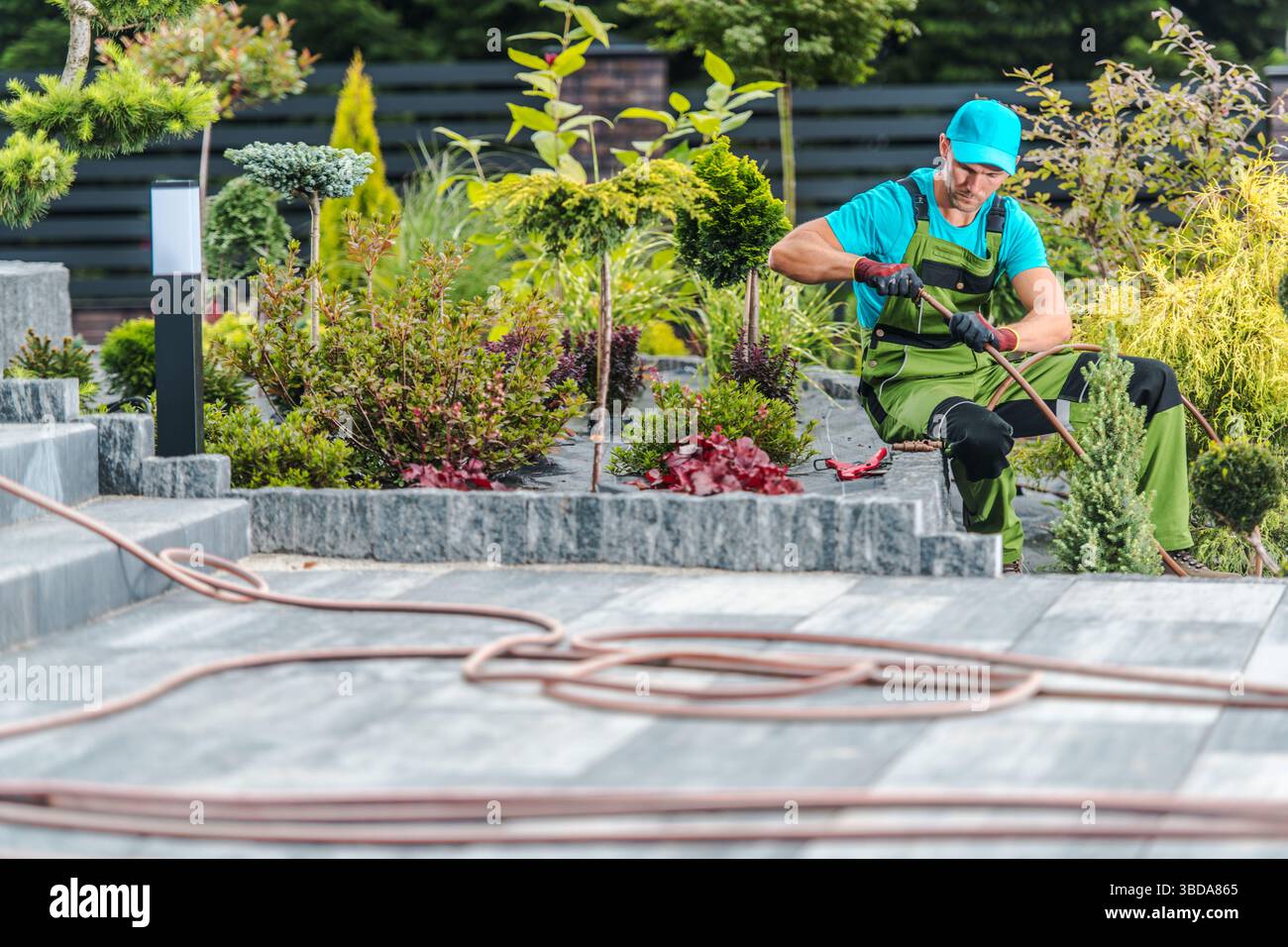 A gardener dressed in bright greens and a blue cap carefully prunes ...