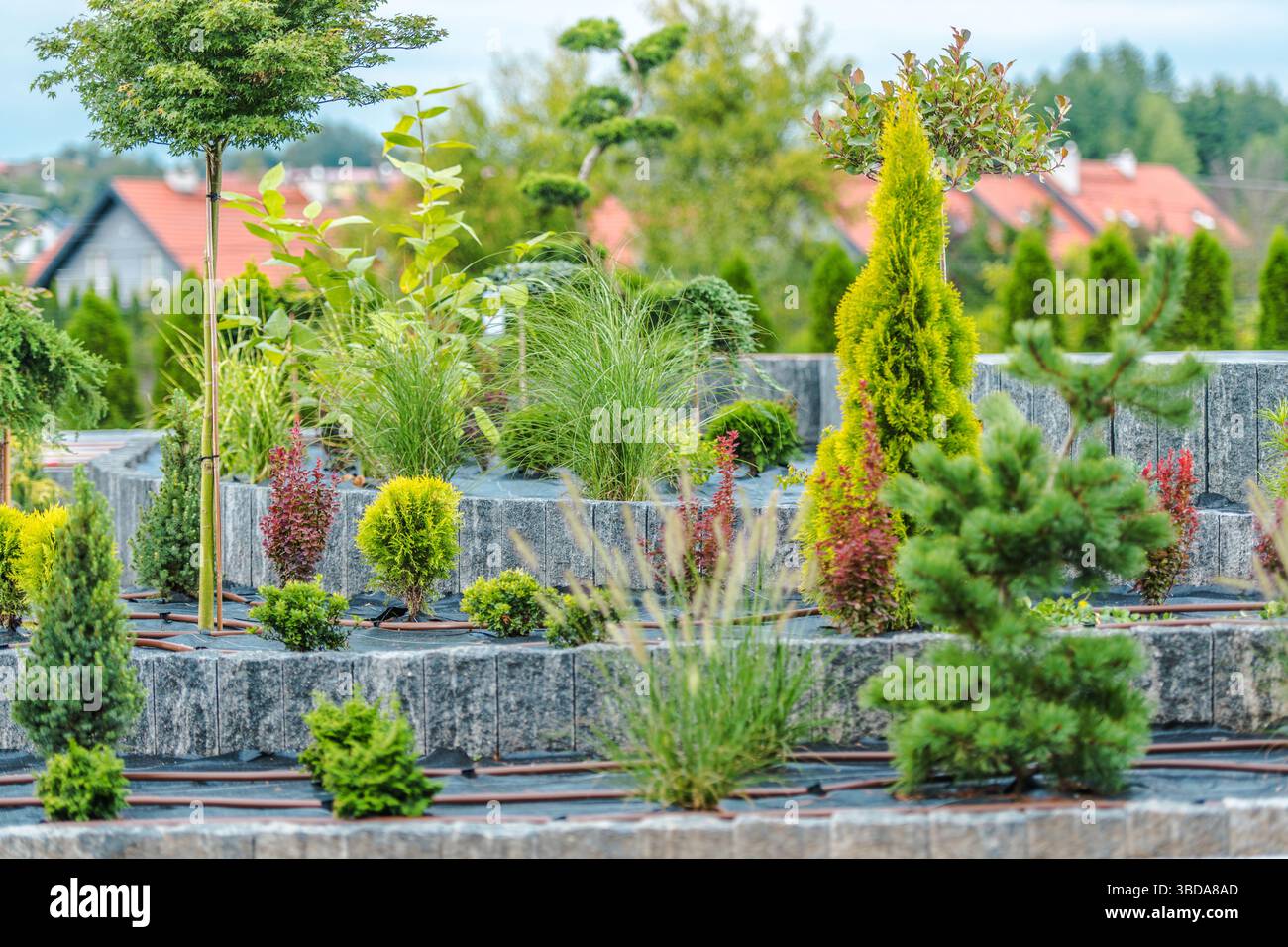 Lush greenery fills the landscape, showcasing an array of carefully ...