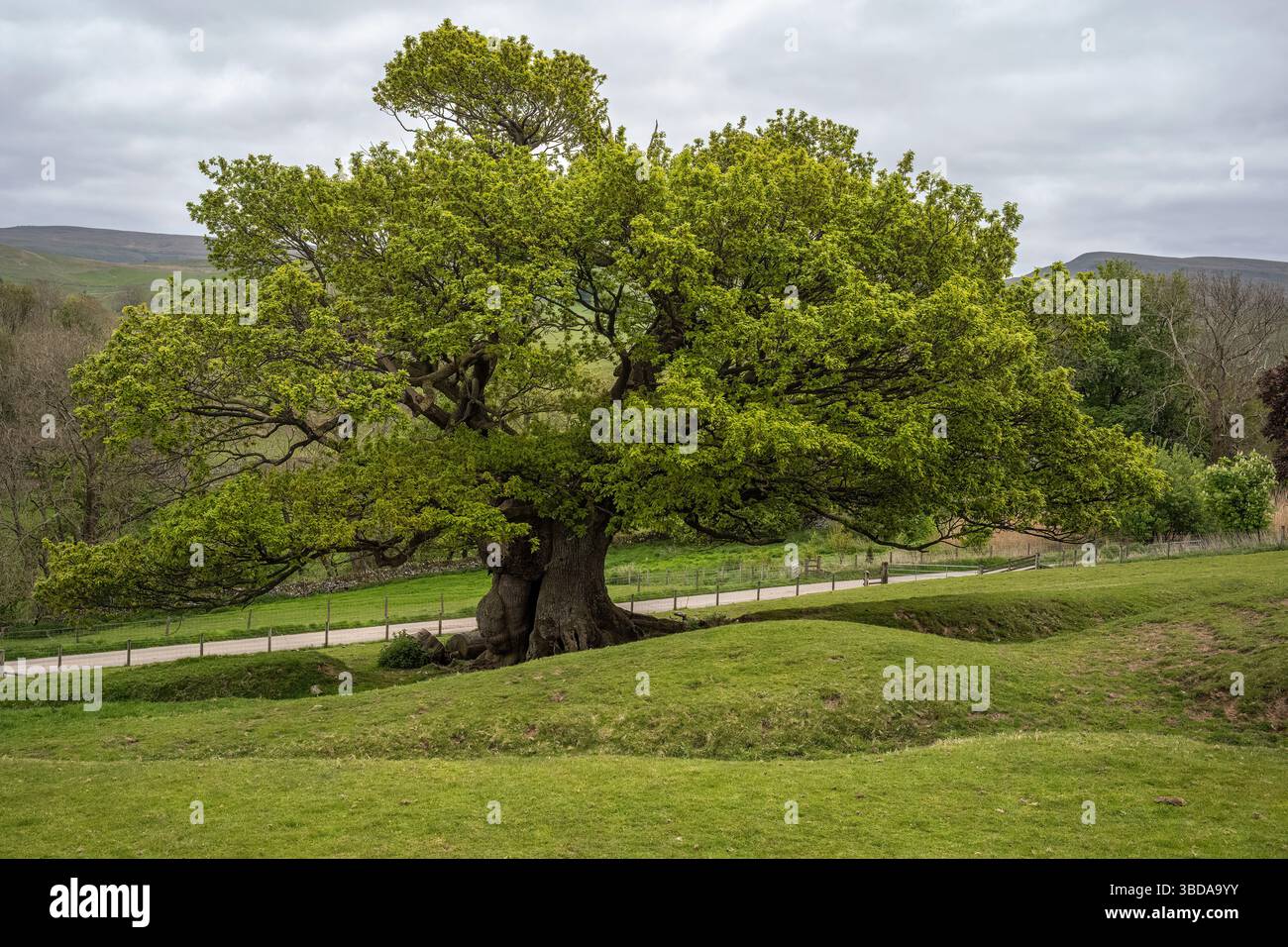 Part of the historic landscape at Wharton Hall, Nateby, Kirkby Stephen ...