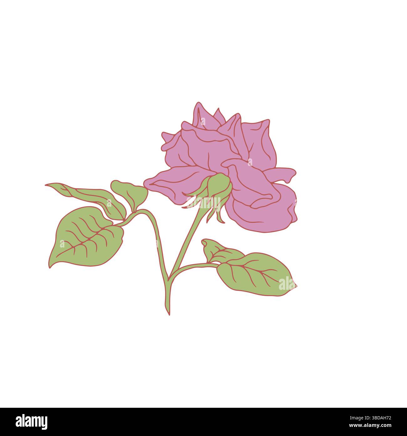 Hand drawn line art purple rose flower isolated on white background ...