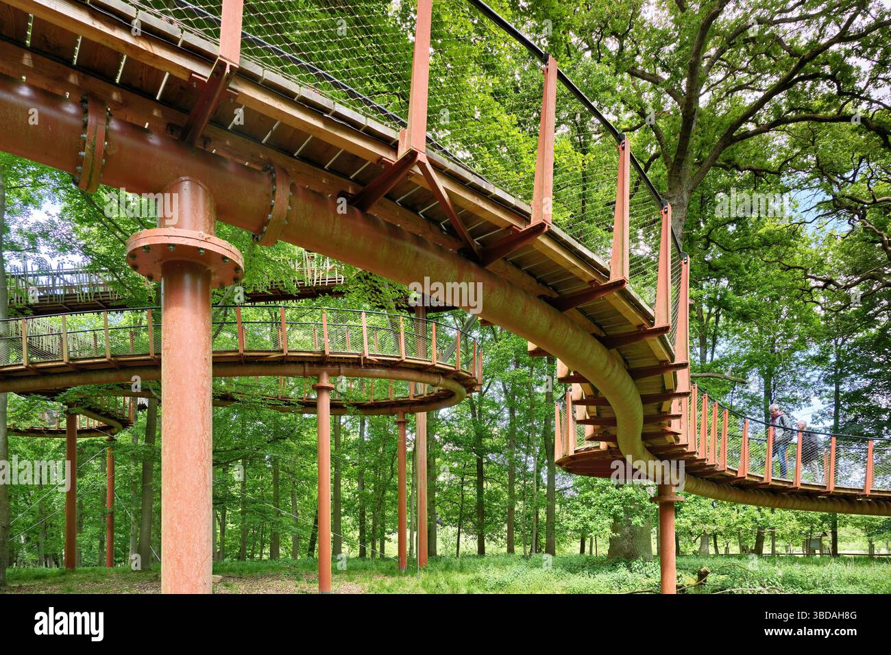 23.05.2025 Zwischen der Gemeinde Ivenack und der Kleinstadt Stavenhagen im Landkreis ...