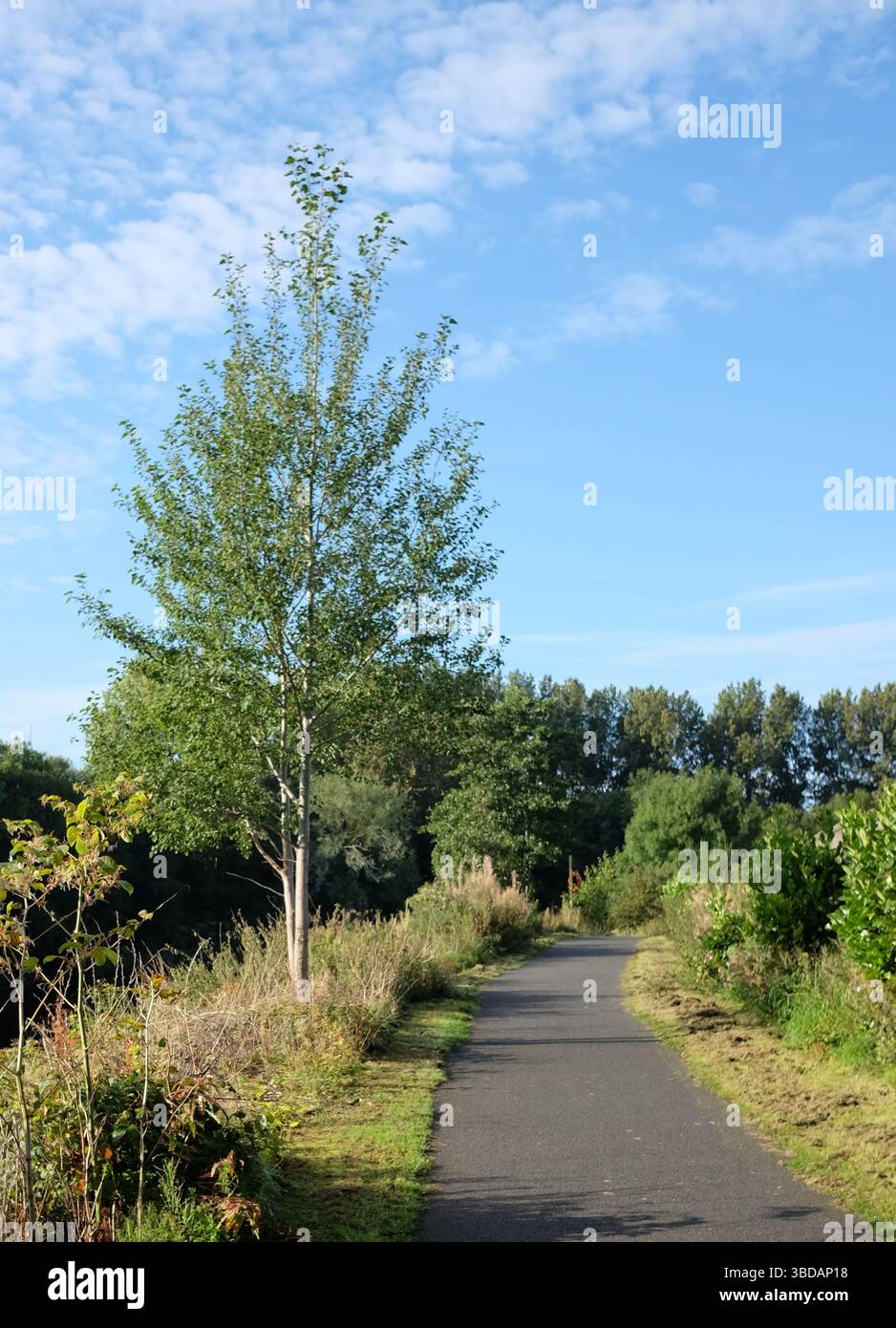 Walkway River Clyde Glasgow Stock Photo - Alamy