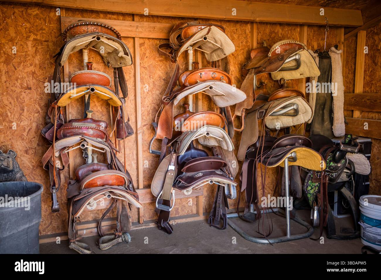 leather equestrian horseback riding tack gear and saddles Stock Photo ...