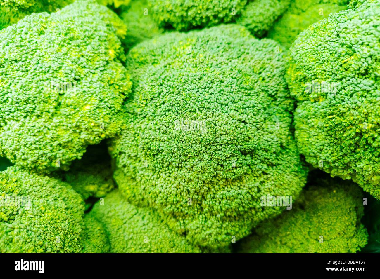 Close-up of broccoli florets. Broccoli is an edible green plant in the ...