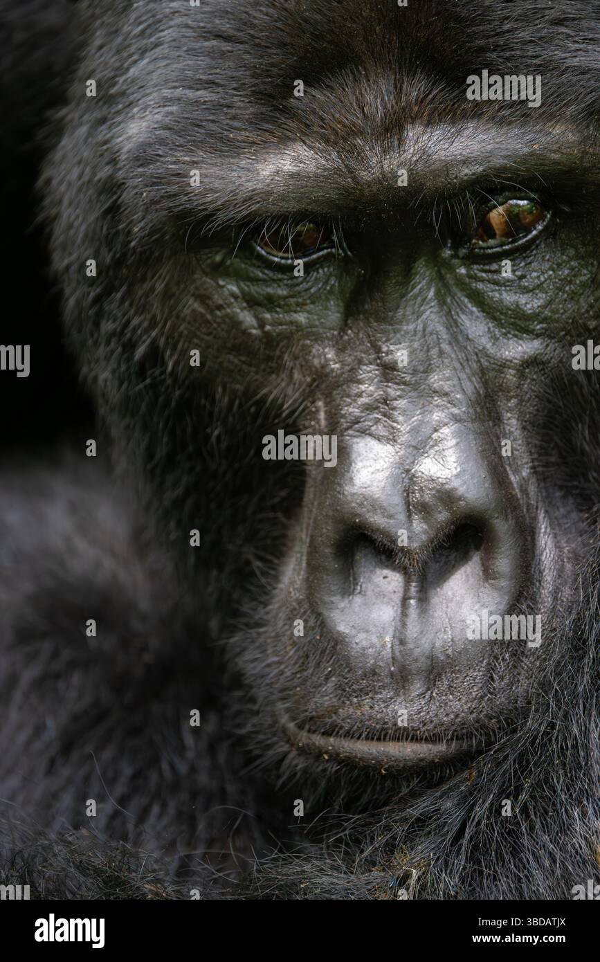 Black white images mountain hi-res stock photography and images - Alamy