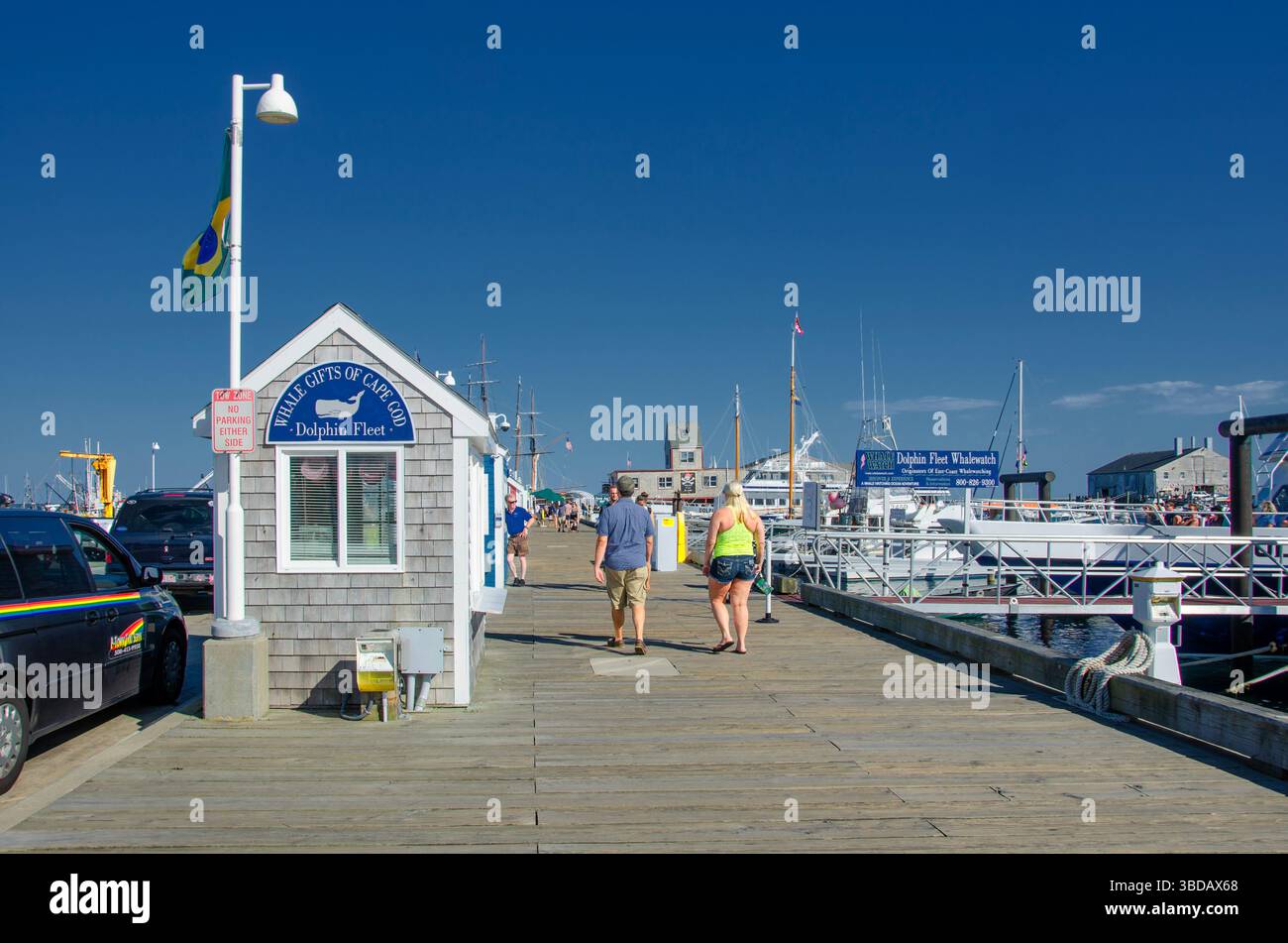 Whale Gifts of Cape Cod. Dolphin Fleet. MacMillian Pier. Provincetown ...
